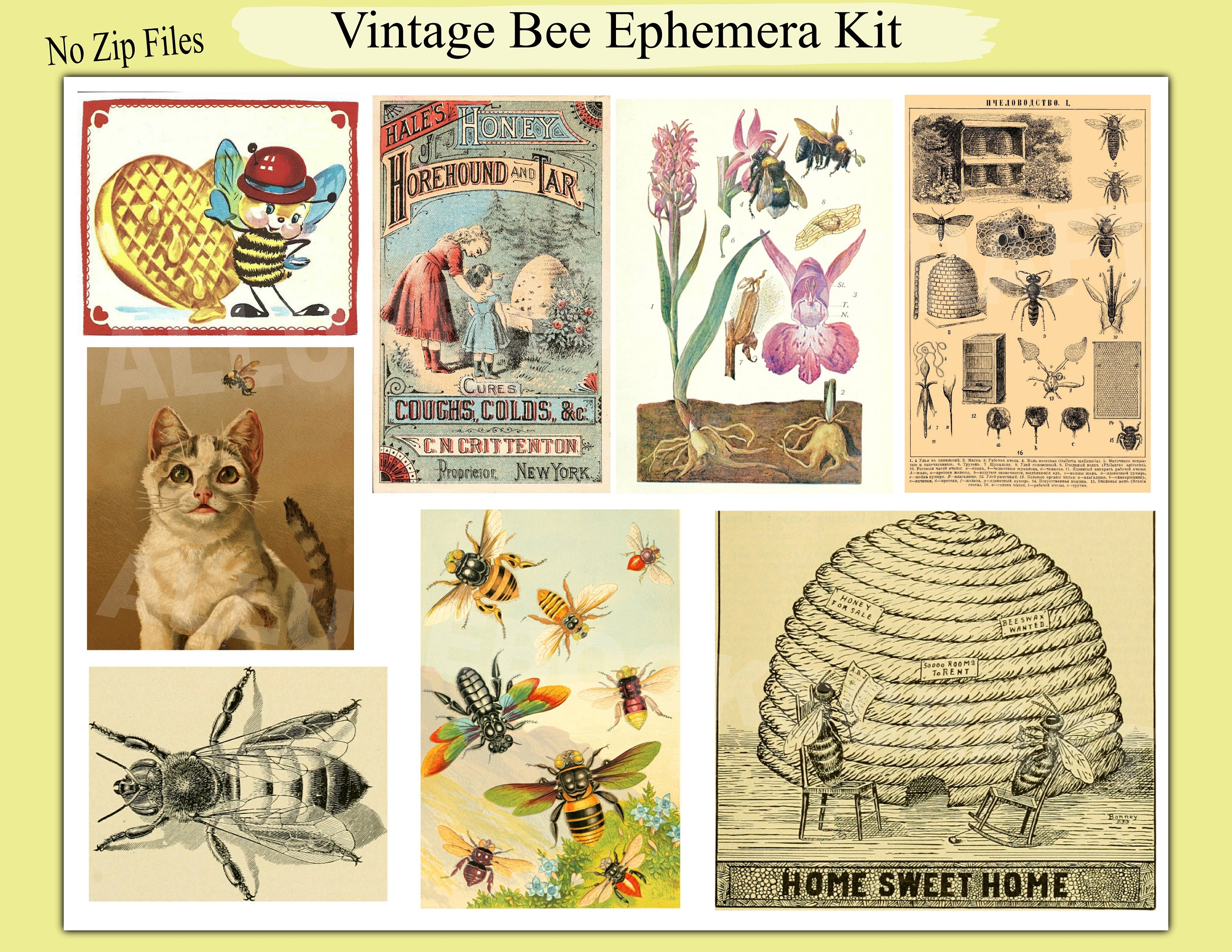 50 Vintage Bee Ephemera Junk Journal Kit Vintage Insect - Etsy