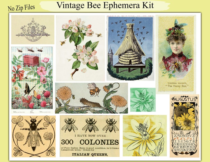 50 Vintage Bee Ephemera Junk Journal Kit Vintage Insect - Etsy