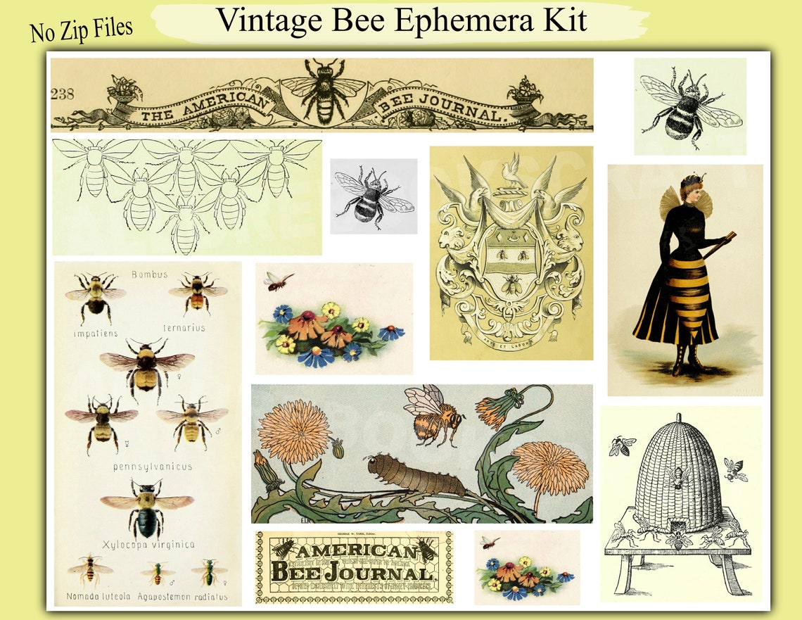 50 Vintage Bee Ephemera Junk Journal Kit Vintage Insect - Etsy