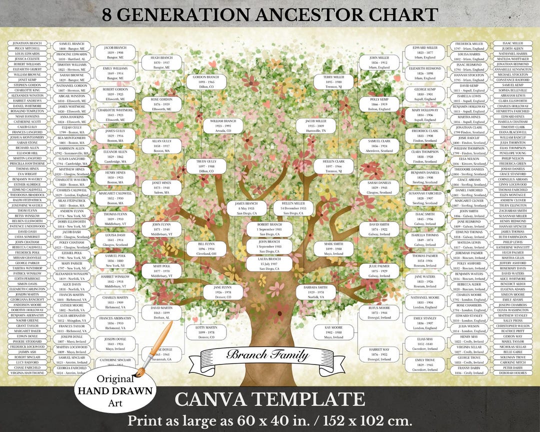 Large 8 Generation Family Tree ~ Genealogy Chart ~ Canva Template ...