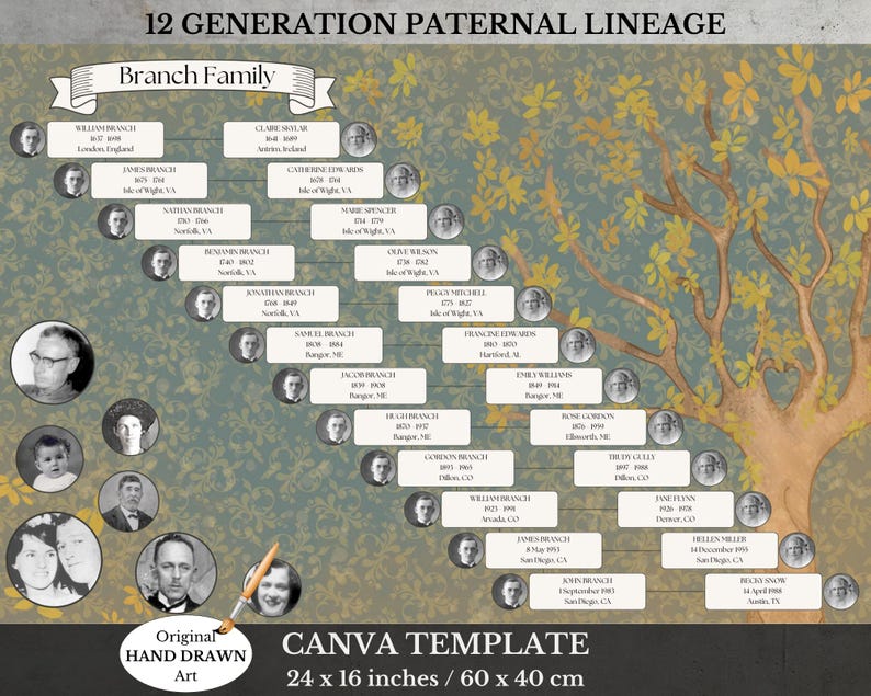 Family Tree Direct Lineage ~ 12 Generation Paternal Pedigree ~ DAR SAR ...