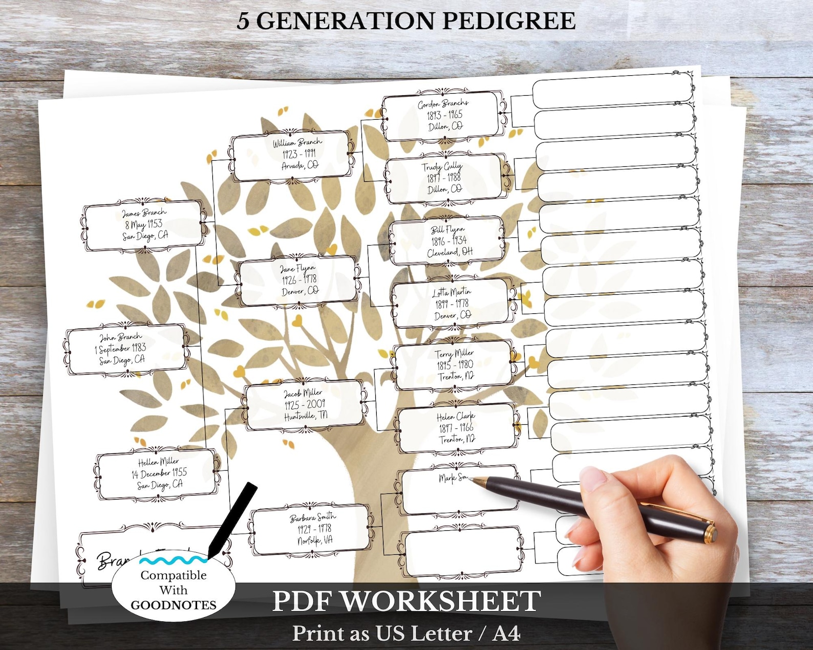 5 Generation Family Tree Printable ~ PDF Pedigree Chart ~ Digital ...