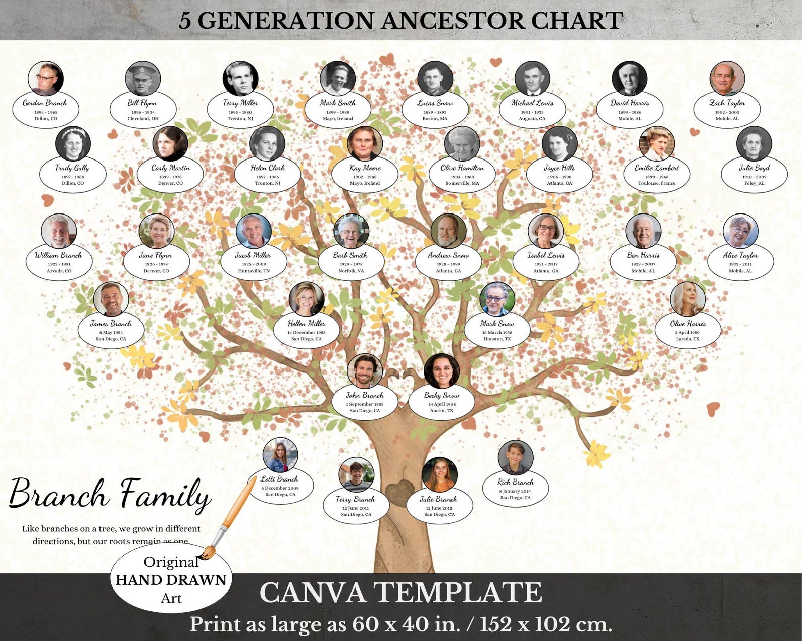 Family Tree ~ Editable Photo Poster With 5 Generations ~ Family History ...