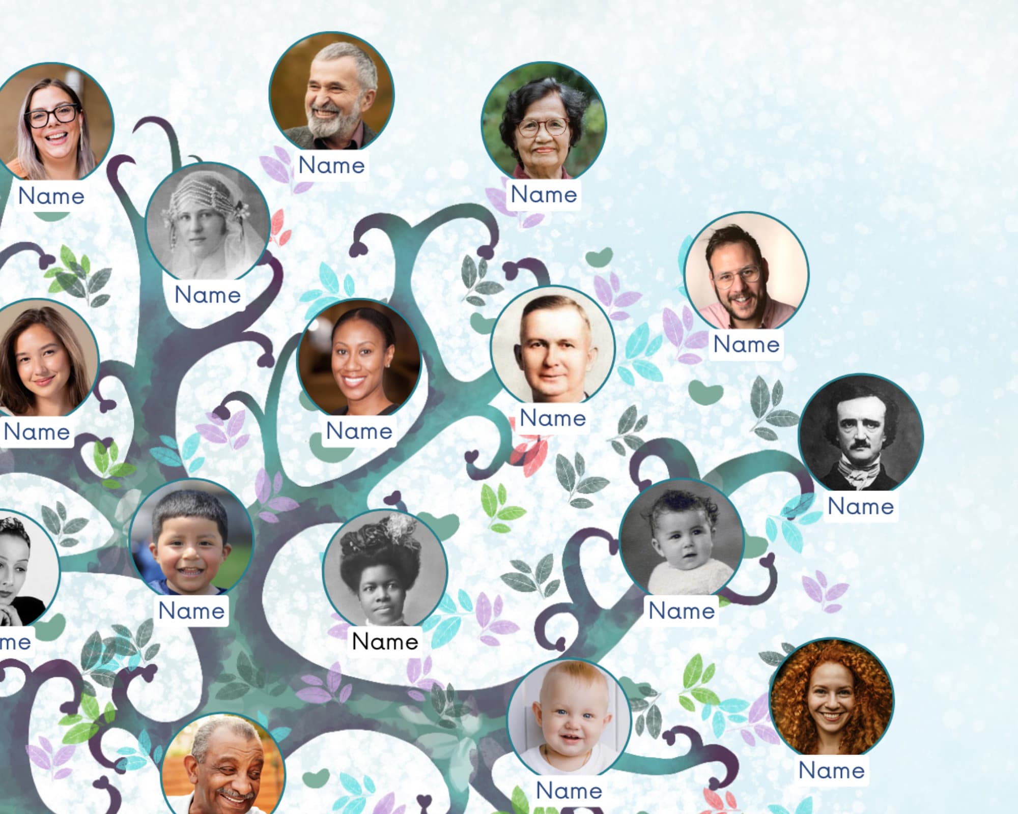 Family Tree With Photos and Names Edit Online Bespoke - Etsy UK