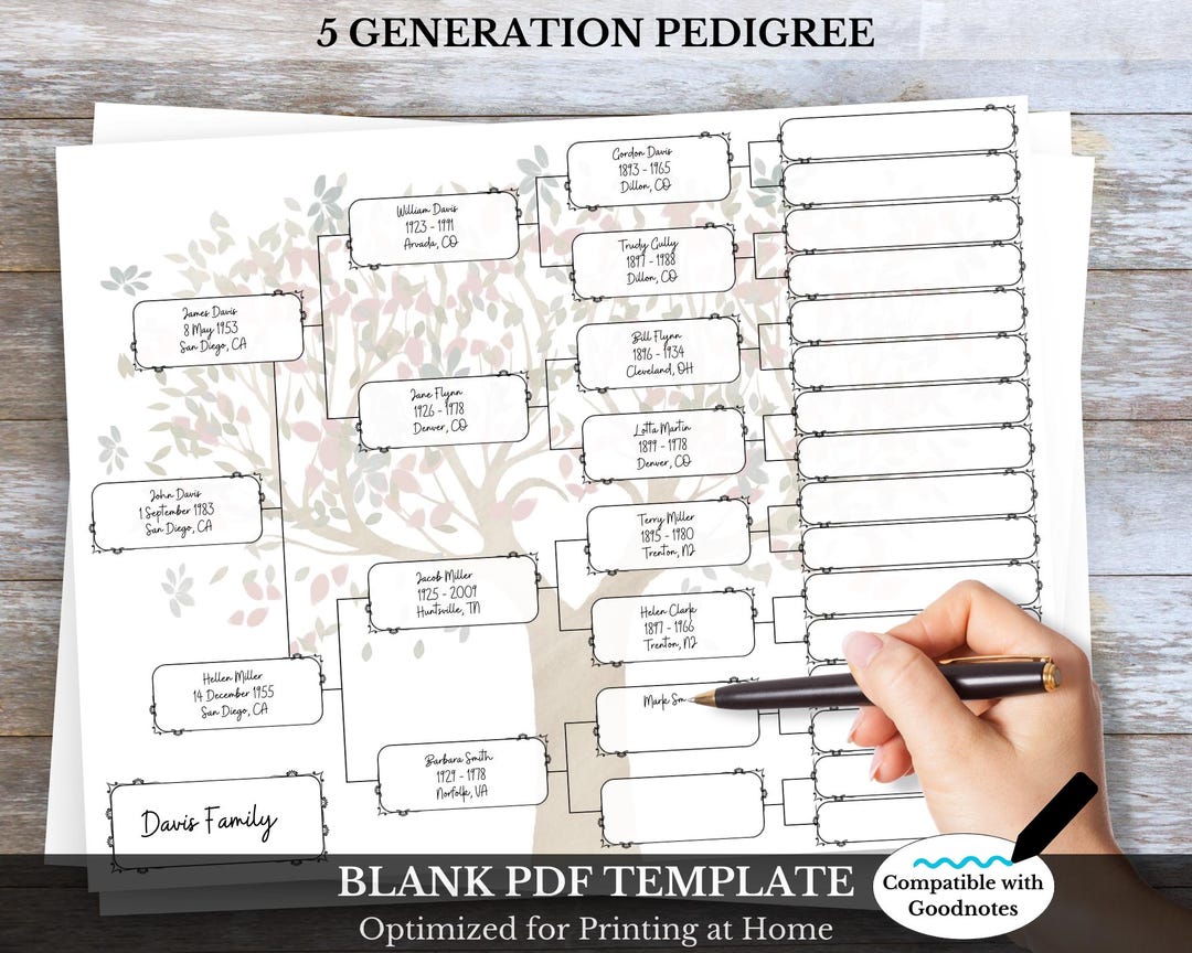 Pedigree Chart ~ 5 Generation PDF ~ Works With Goodnotes ~ WALTZ - Etsy