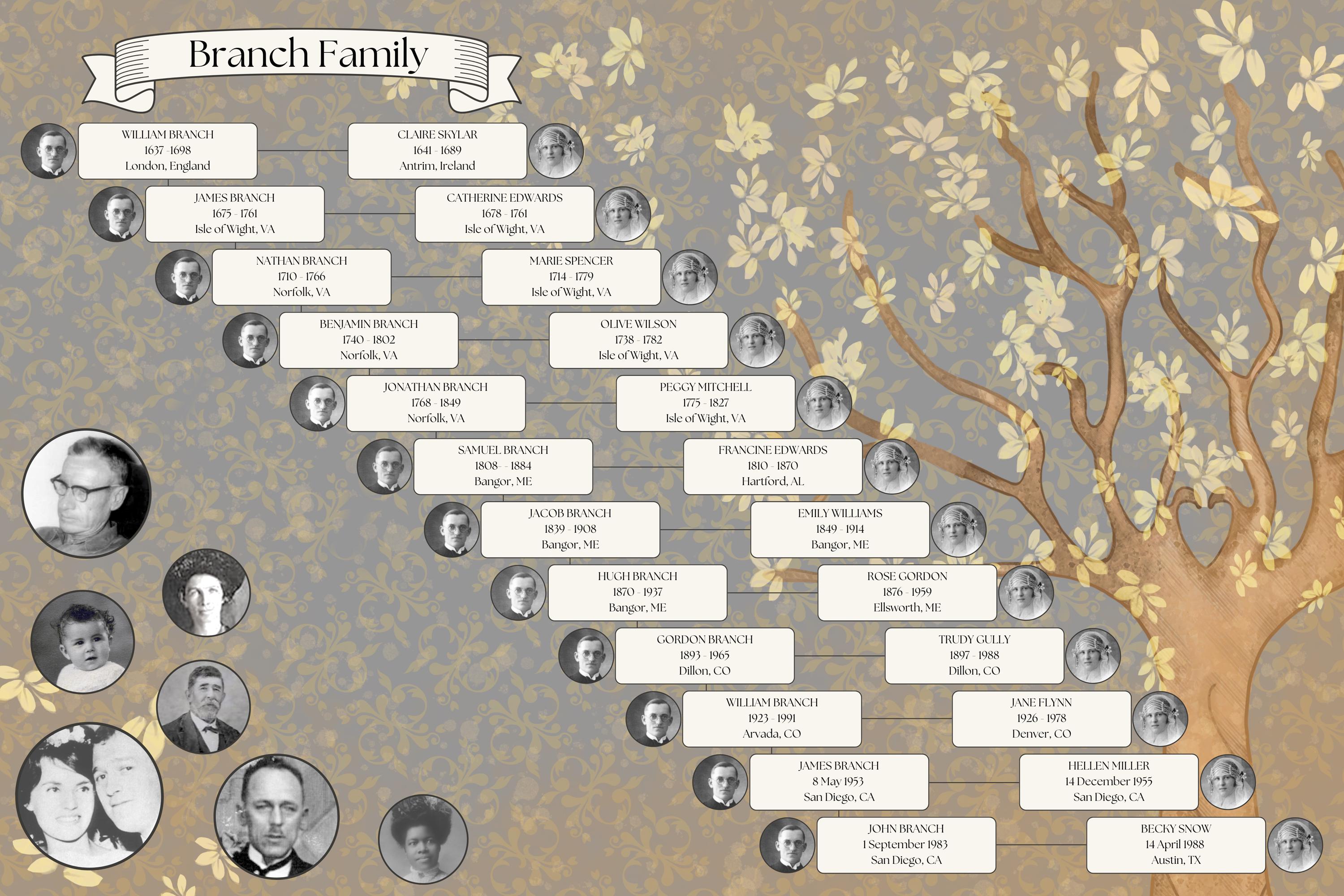 12 Generation Lineage Pedigree Chart ~ KIVA - Etsy UK