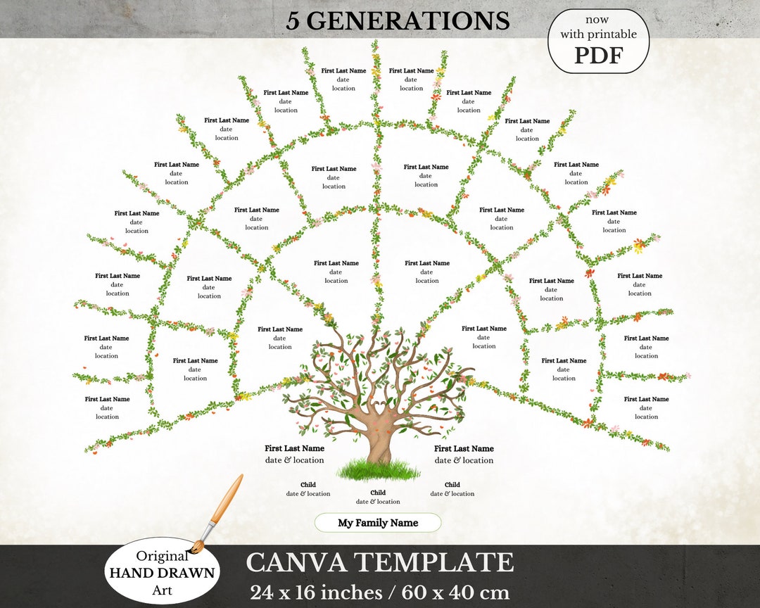 Plantilla de árbol genealógico 5 generaciones Hoja de trabajo de ...