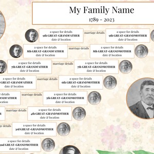 Family Tree Surname Chart 12 Generation Genealogy Pedigree Ancestry ...