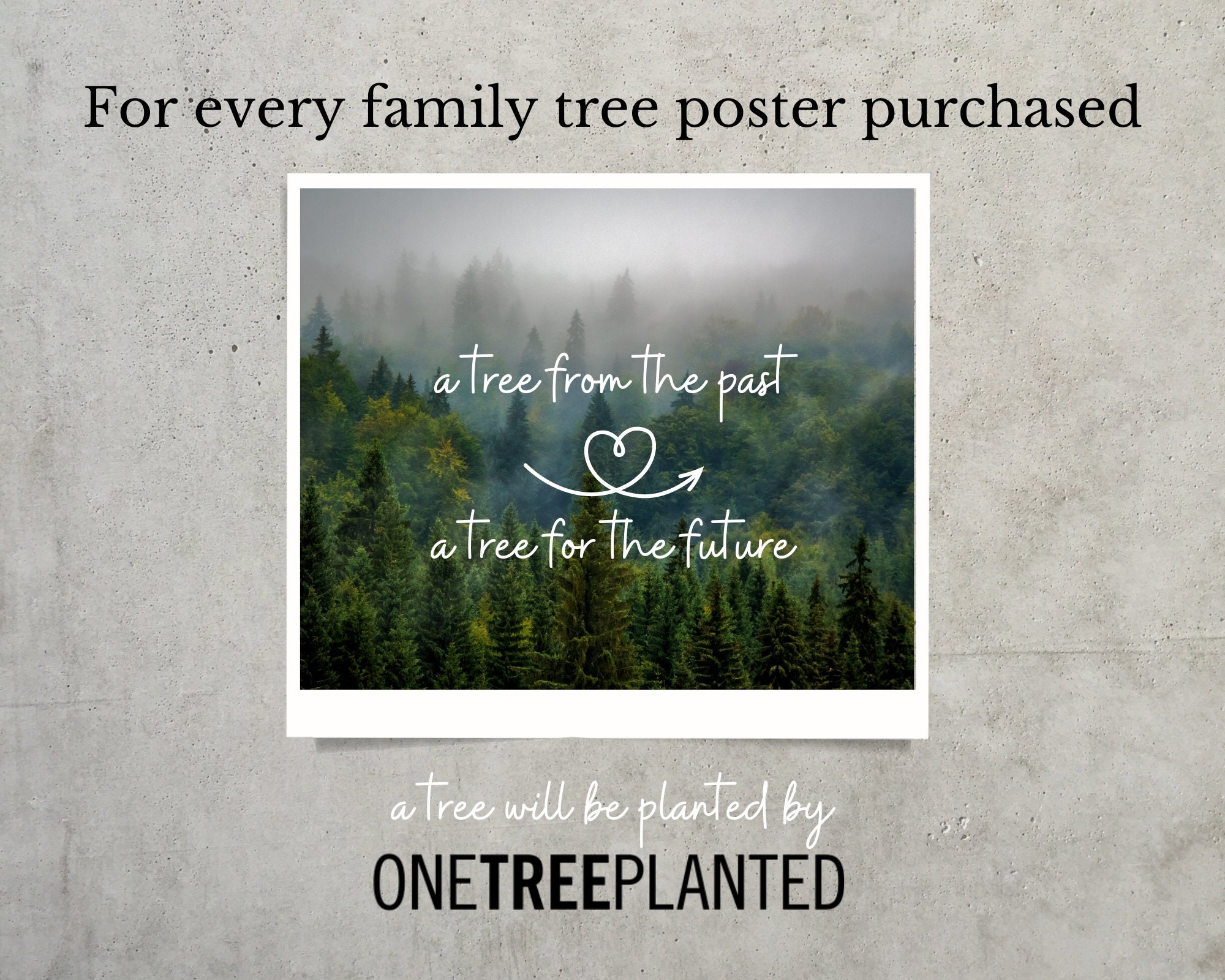 8 Generation Family Tree Chart Editable With Canva - Etsy