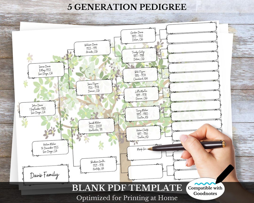 5 Generation Family Tree Printable ~ PDF Pedigree Chart ~ Digital ...