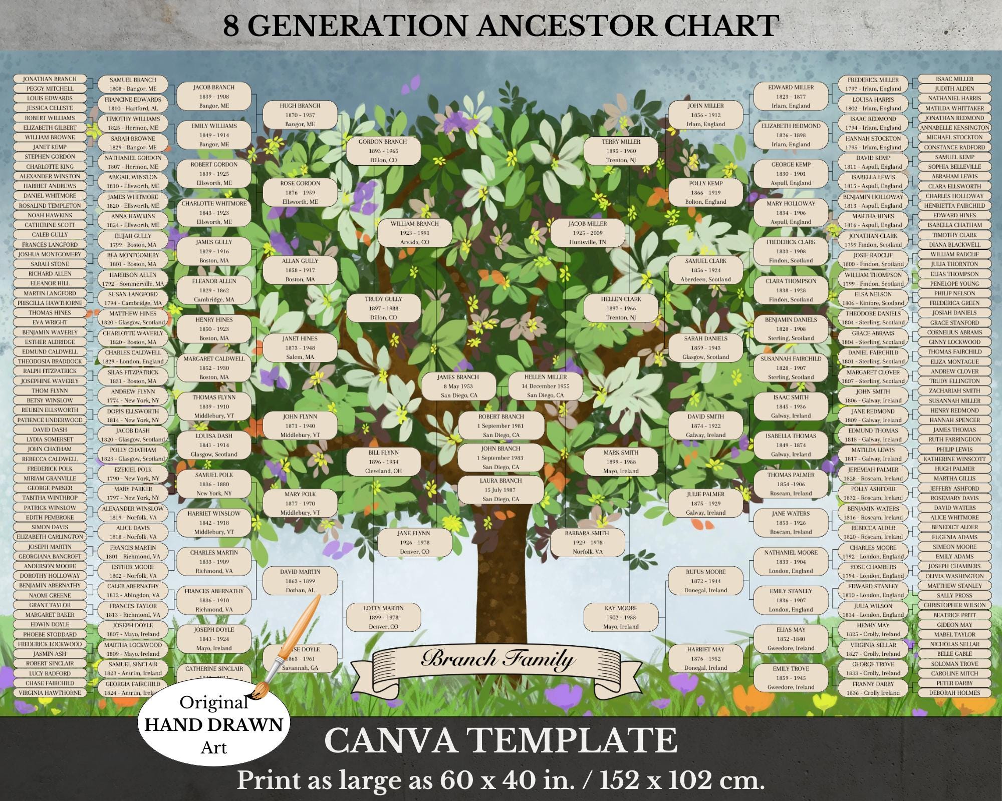 8 Generation Editable Family Tree Chart ~ Canva Template ~ VERDE - Etsy