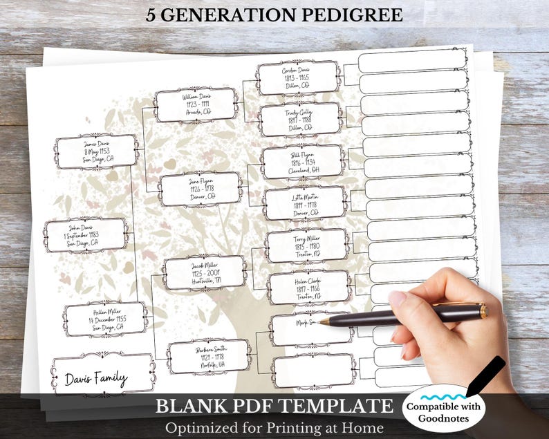 PDF Family Tree Template ~ 5 Generations ~ Genealogy Chart ~ Easy Print ...