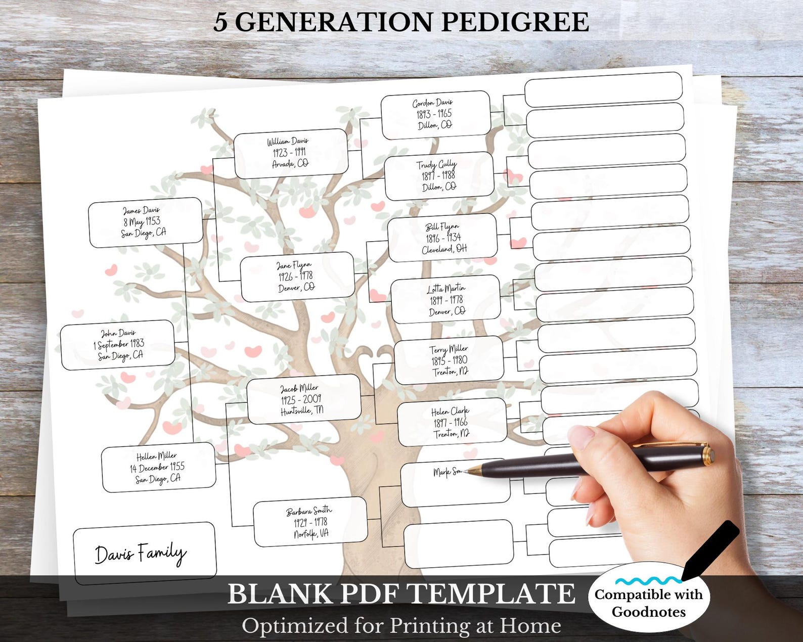 5 Generation Family Tree Printable ~ PDF Pedigree Chart ~ Digital ...