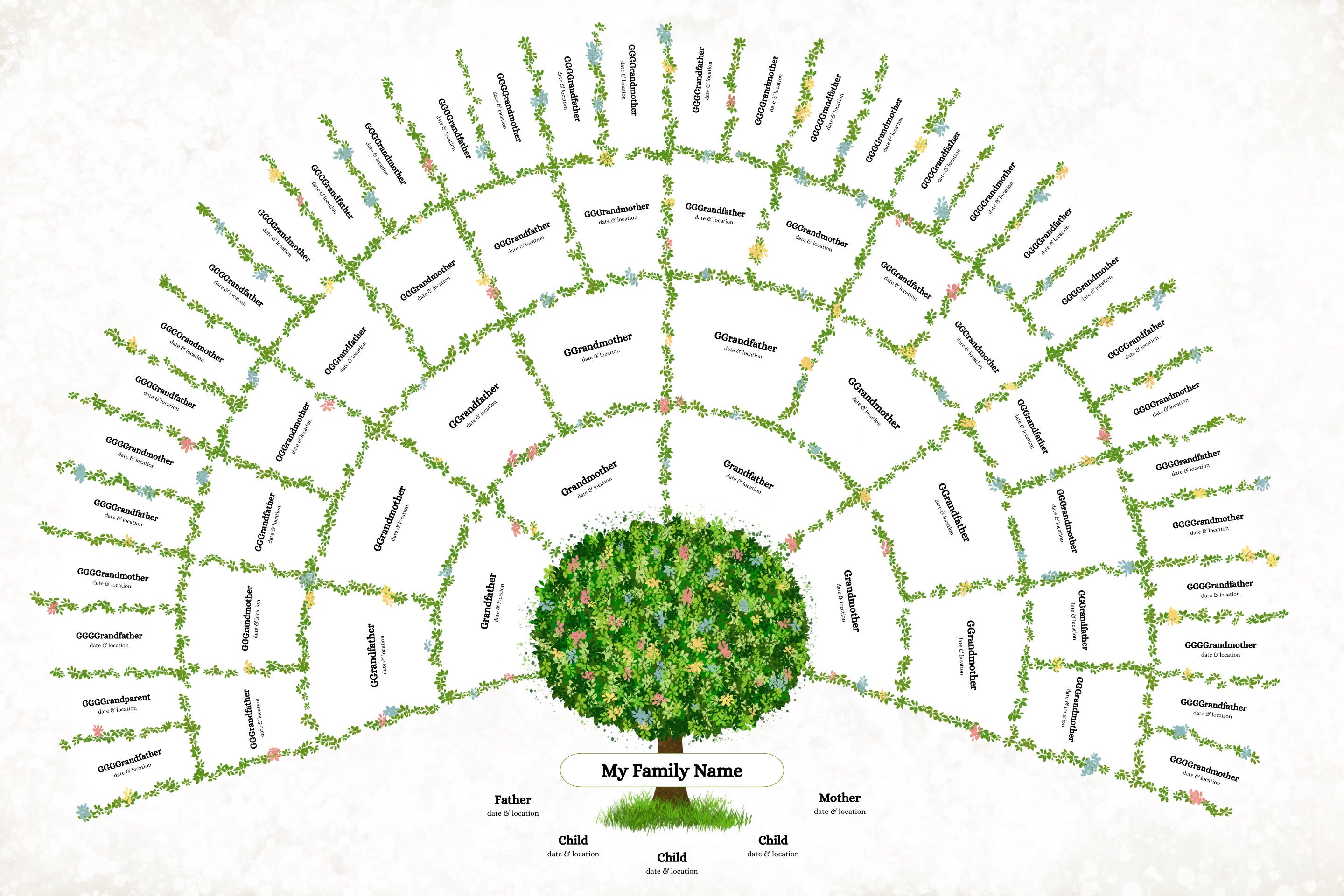 Fillable Family Tree Fan Chart 5 to 6 Generations DIY - Etsy