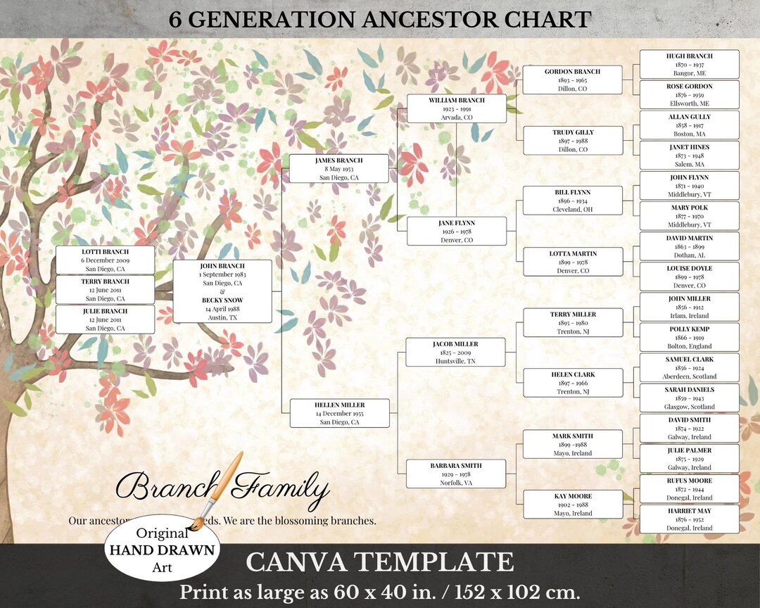 Family Tree Template ~ 6 Generation Pedigree ~ Genealogy Worksheet ...
