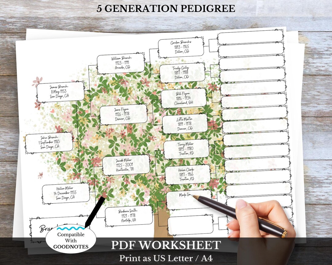 5 Generation Family Tree Chart: Hand-illustrated Genealogy Pedigree ...
