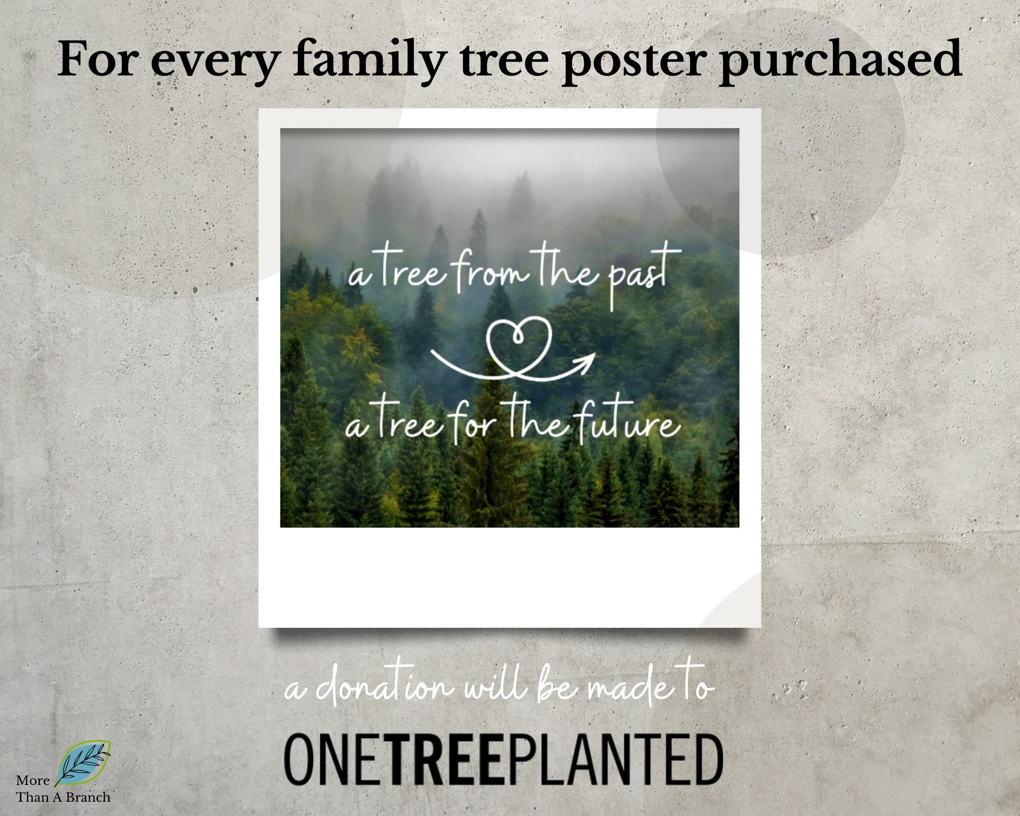 Plantilla de árbol genealógico digital ~ 6 generaciones ~ Editable en ...
