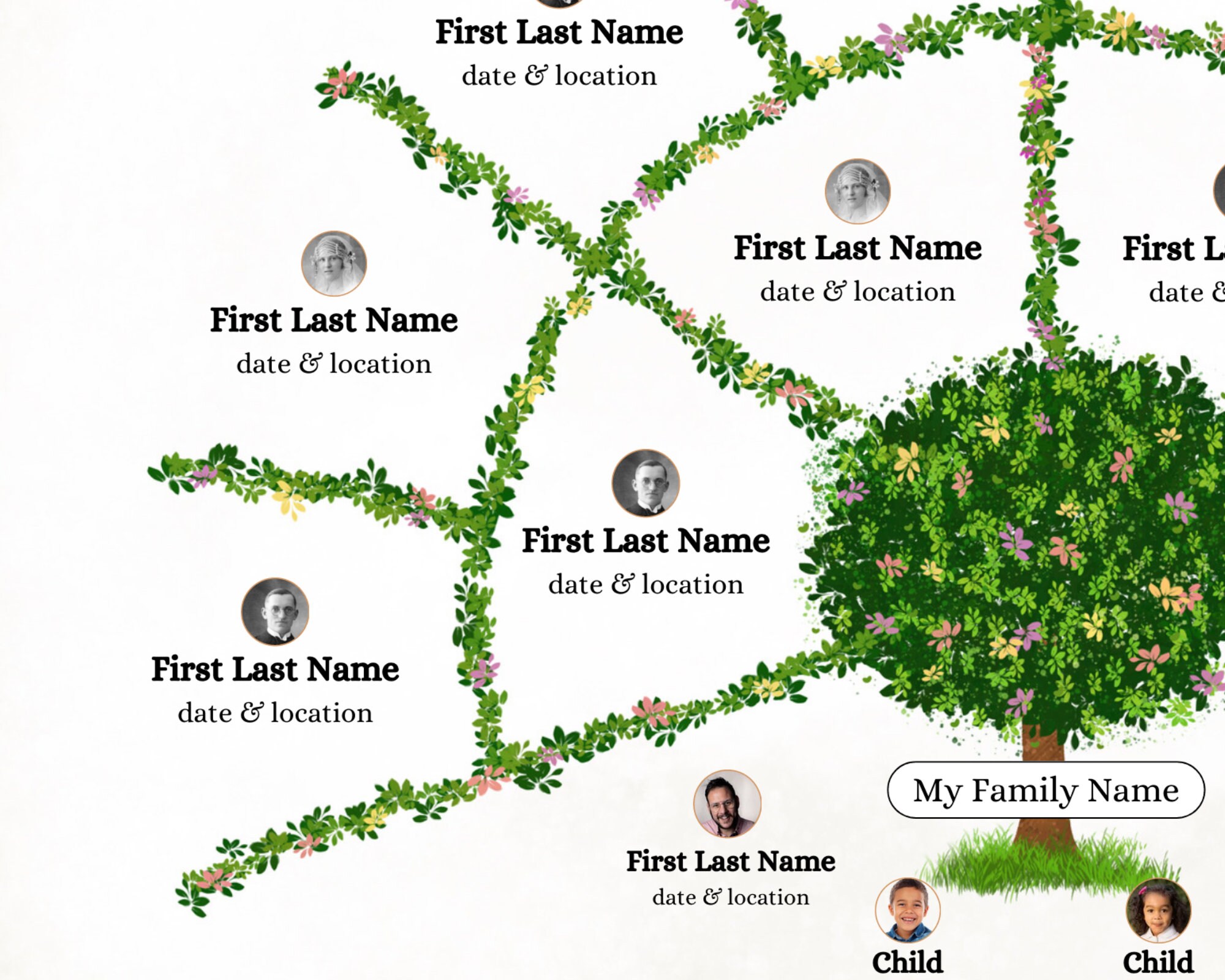 Family Tree Fan Chart With Portraits 4 Generation Pedigree DIY ...