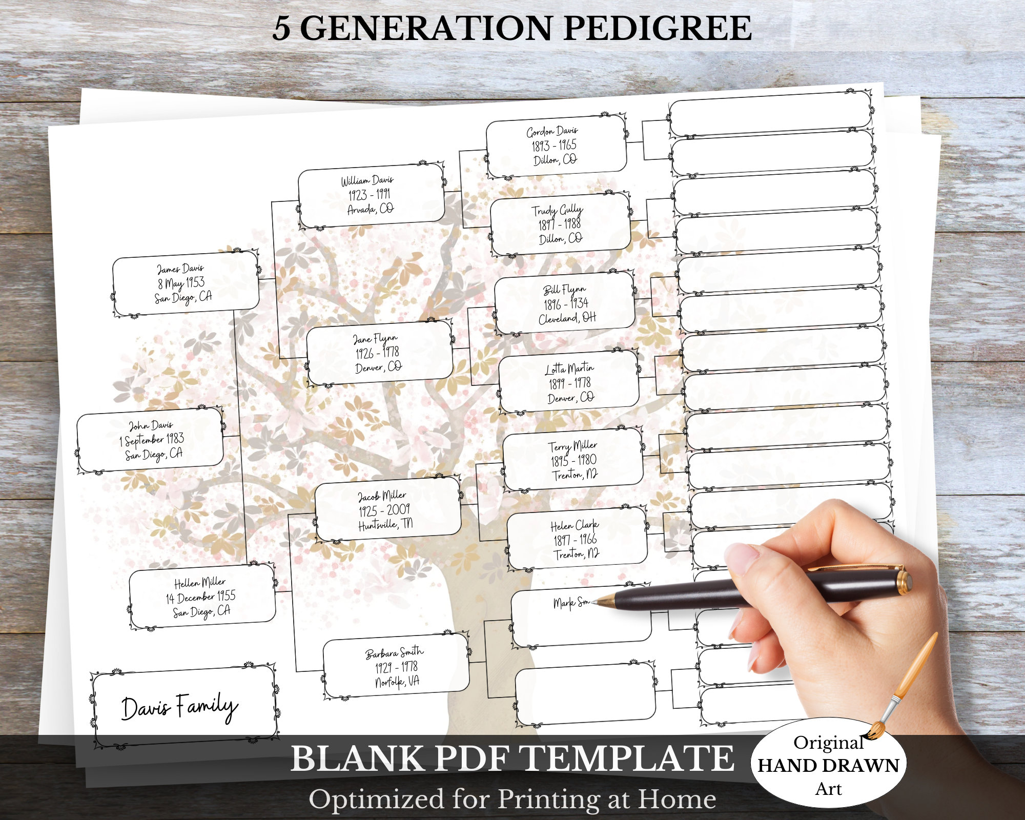 PDF Family Tree Template 5 Gen Pedigree Chart Easy Print CLOE - Etsy