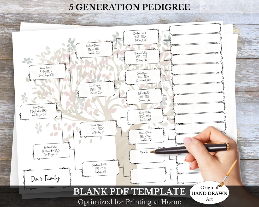 Pedigree Chart 5 Generation Genealogy Template WALTZ - Etsy