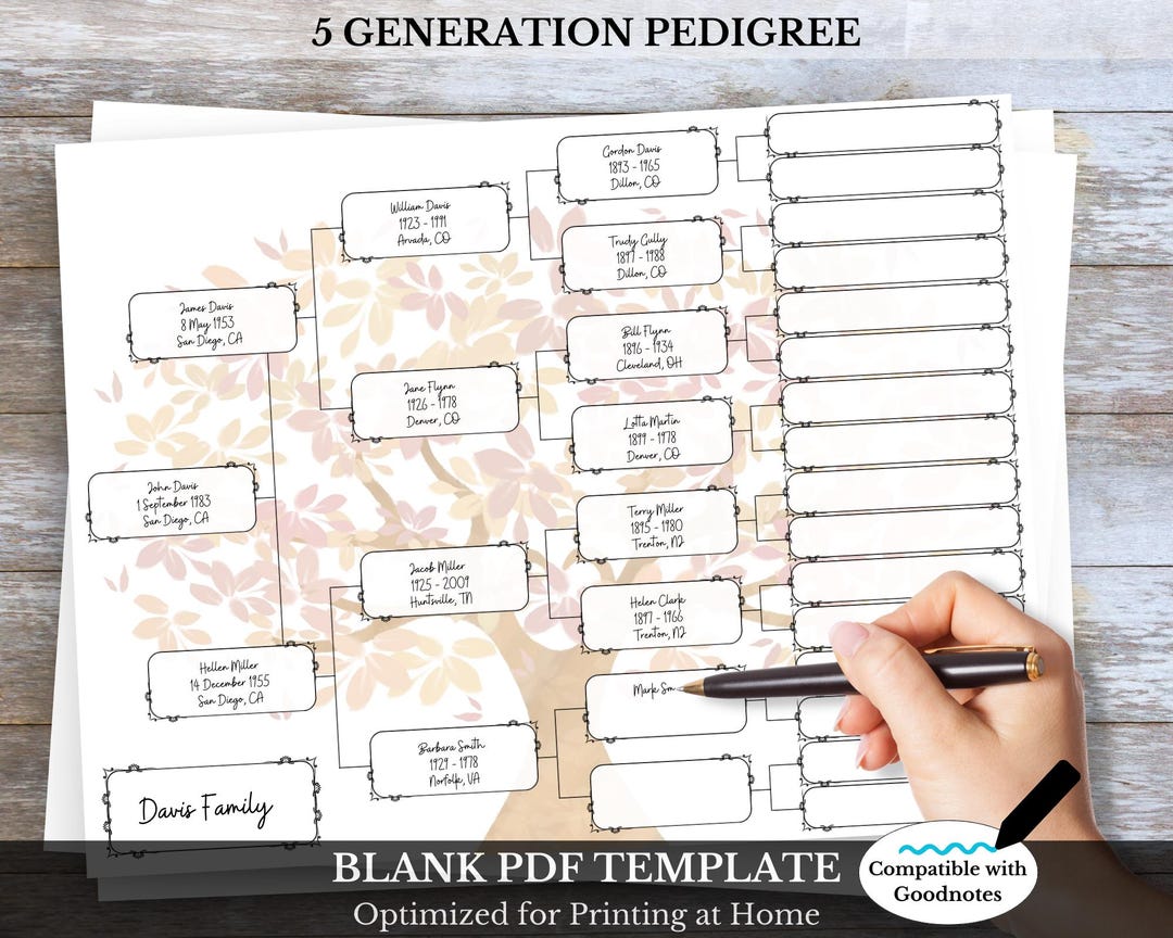 Family Tree Chart PDF ~ 5 Generation Pedigree ~ Genealogy Template ...