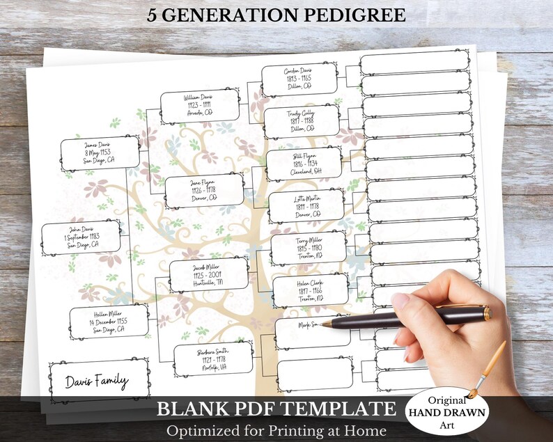 Family Tree Pedigree 5 Generation Optimized for Home Printing NOVI - Etsy