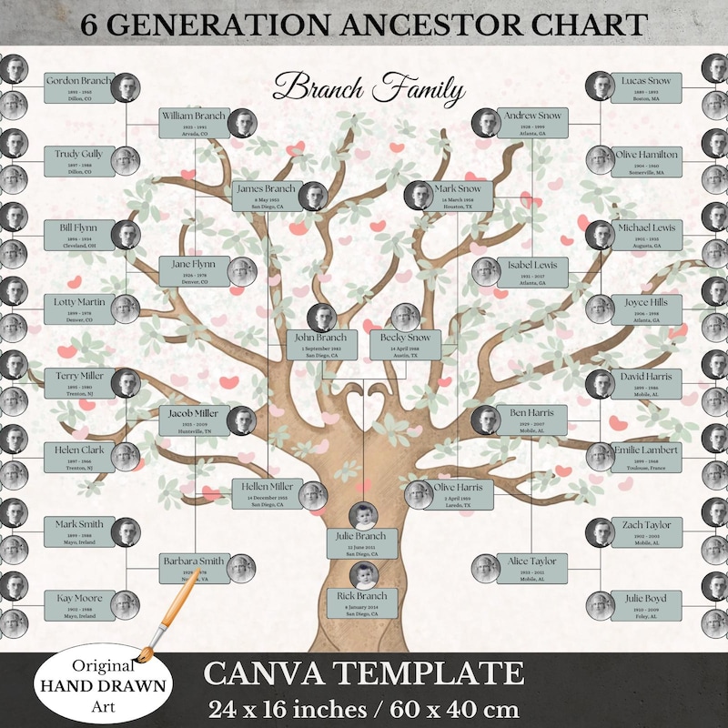 6 Generation Family Tree - Etsy
