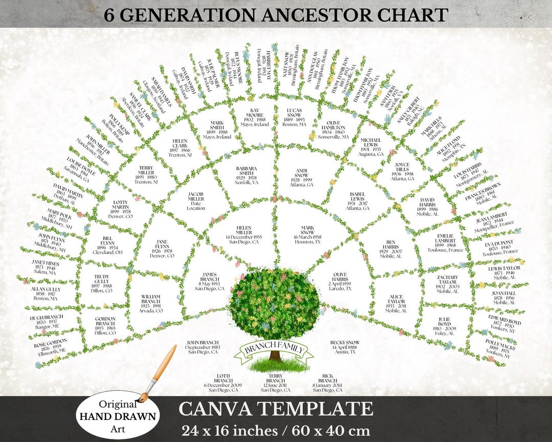 Family Tree Fan Chart Template ~ 6 Generation Pedigree ~ Customizable ...