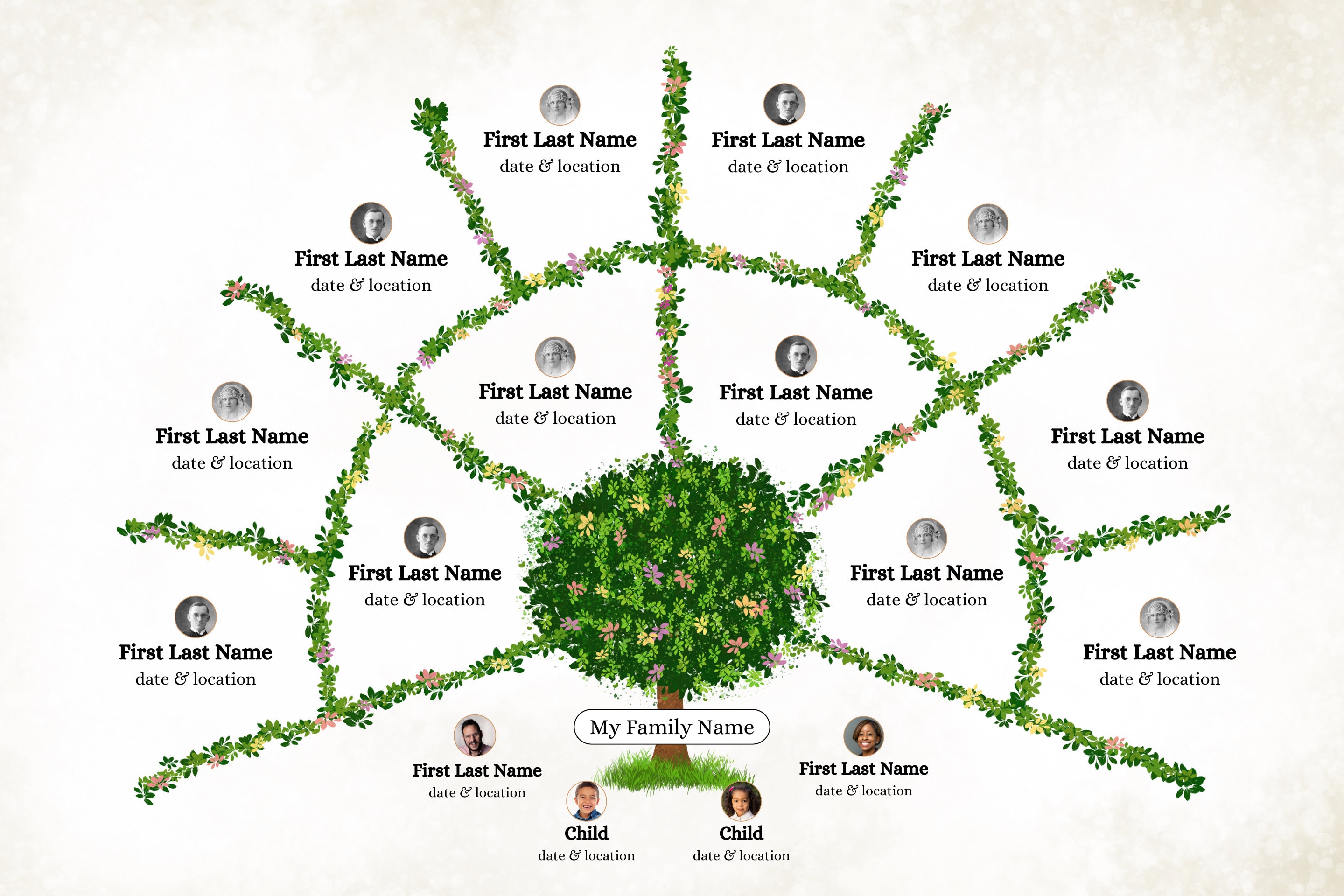 Family Tree Fan Chart With Photos 4 Generation Pedigree - Etsy