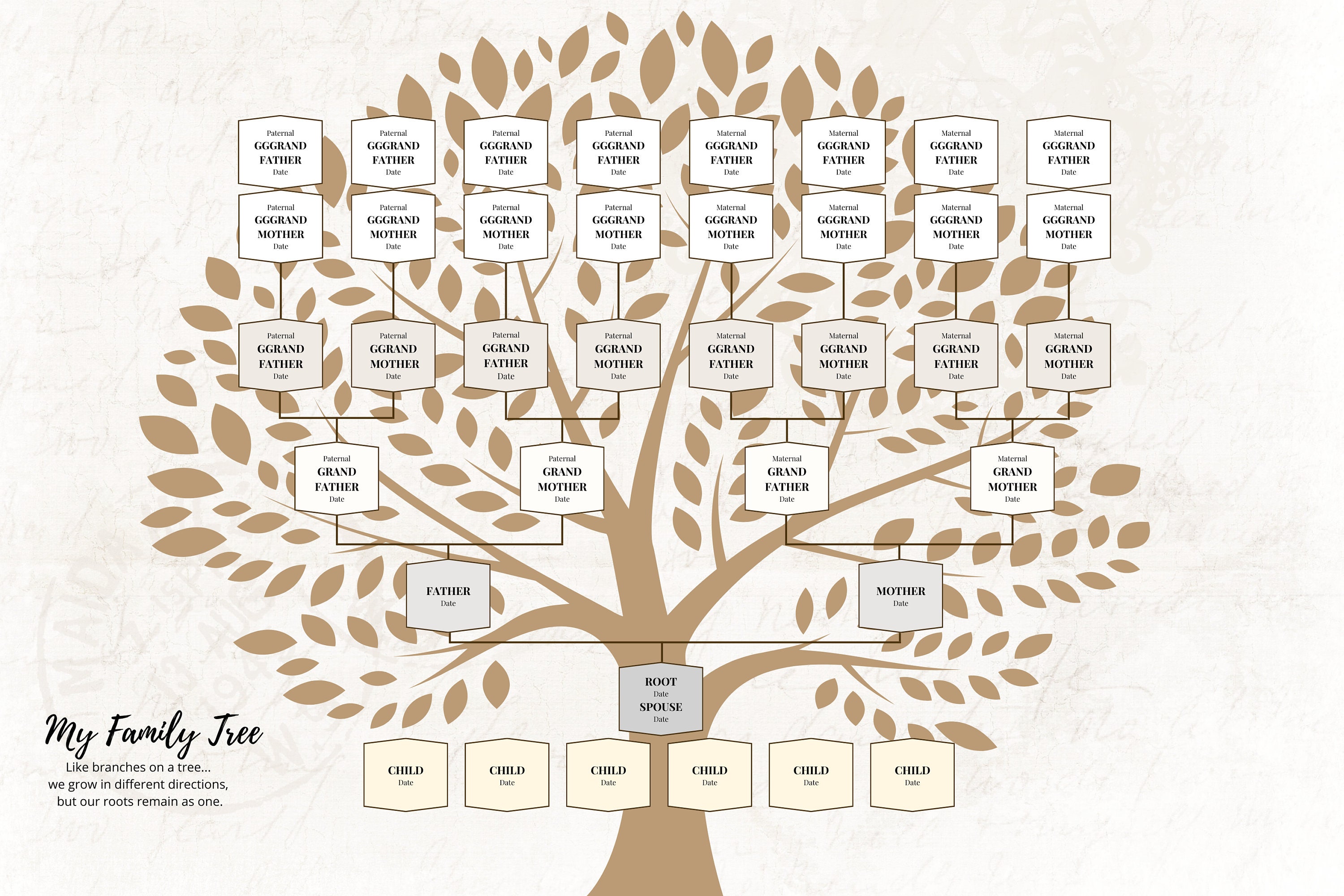 DIY 5 Generation Digital Family Tree Template Family History - Etsy UK