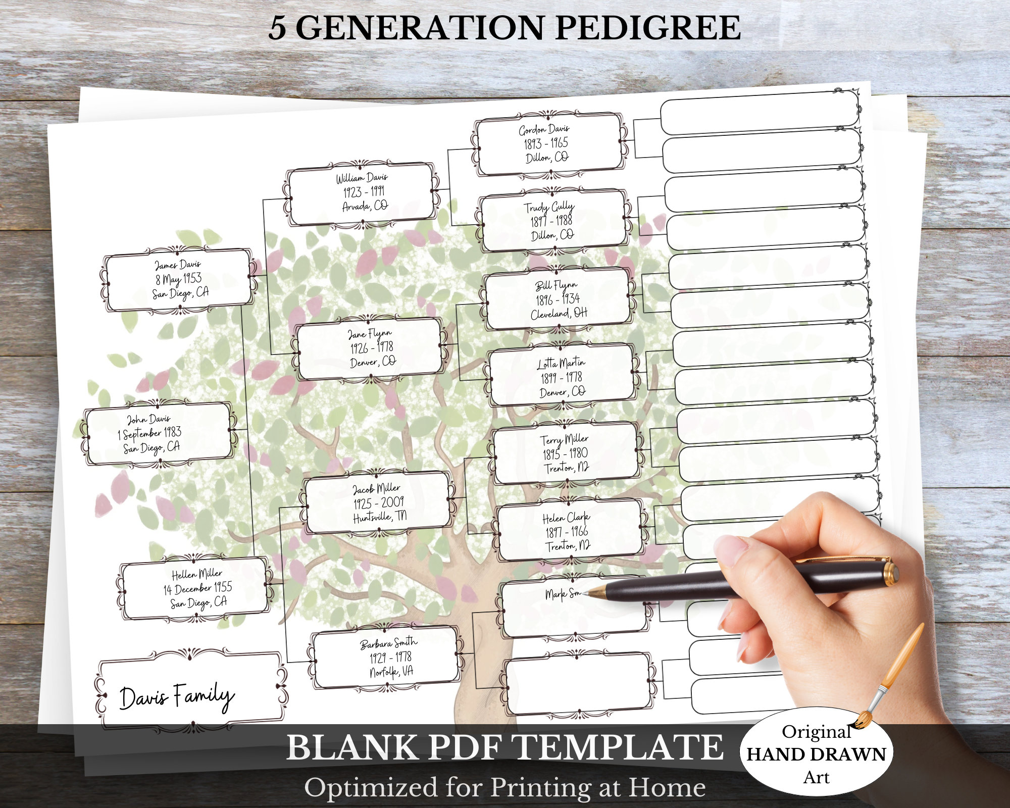 PDF Family Tree Template 5 Generation Pedigree Editable Genealogy Chart ...