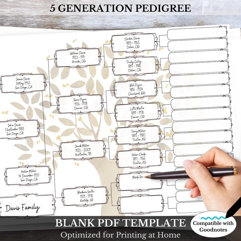 Fillable Ancestor Chart - Etsy