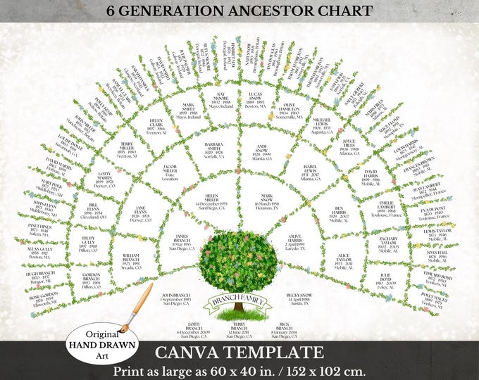 B&W 8 Generation Family Tree Fan Chart Template (30x20, Canva) - Etsy ...