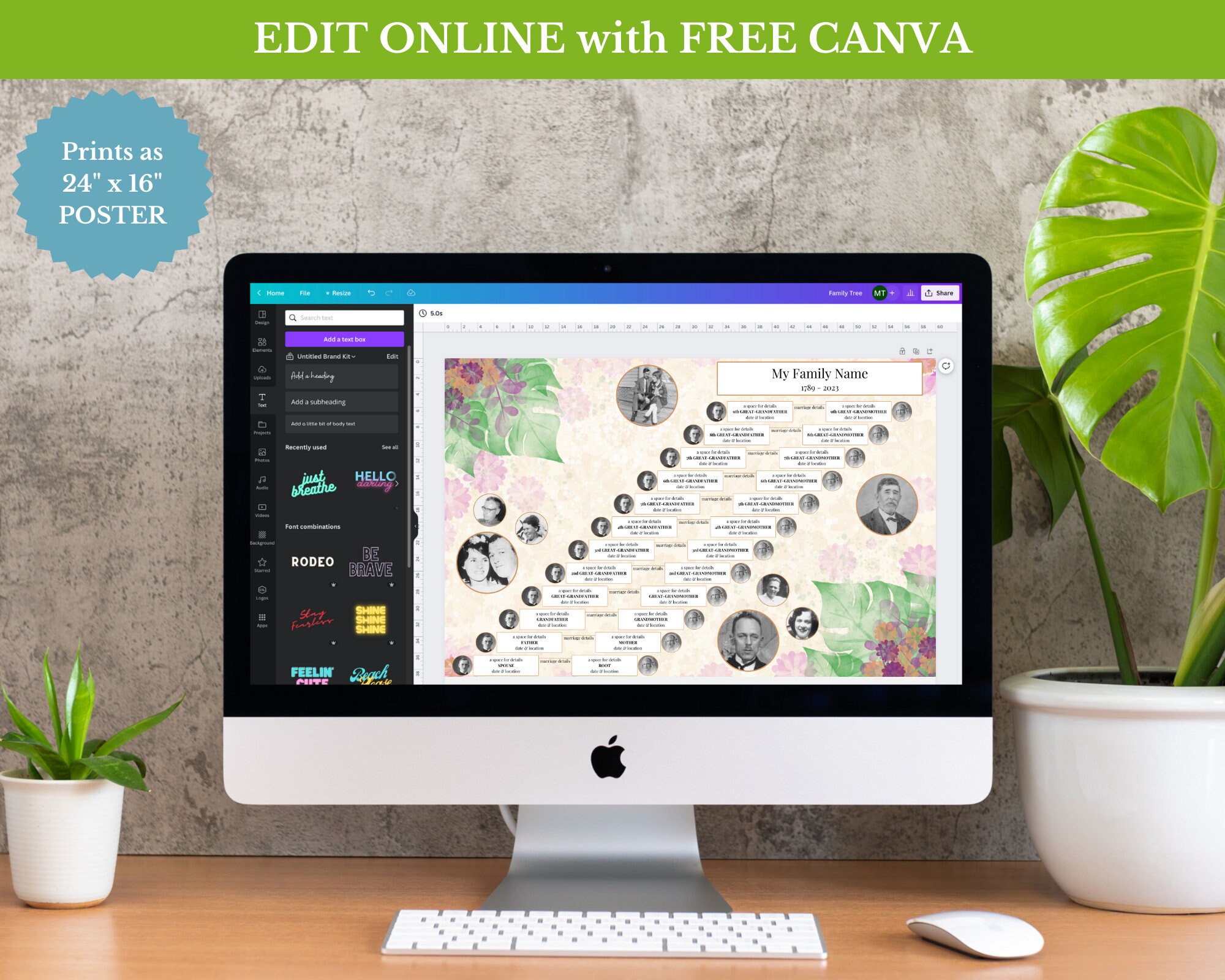 Family Tree Surname Chart 12 Generation Genealogy Pedigree Ancestry ...