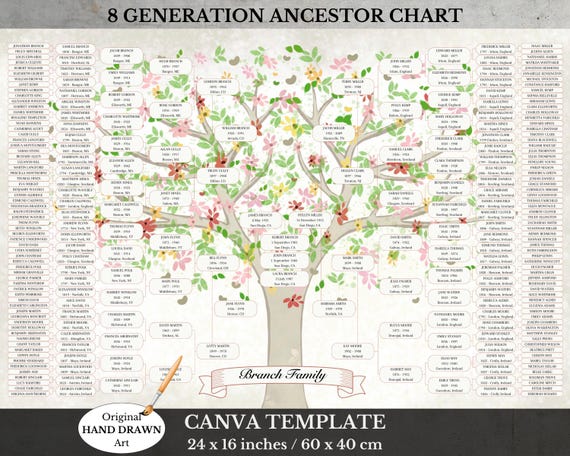 Family Tree Genealoy Chart How To Easily Color Coded Your Ancestors In