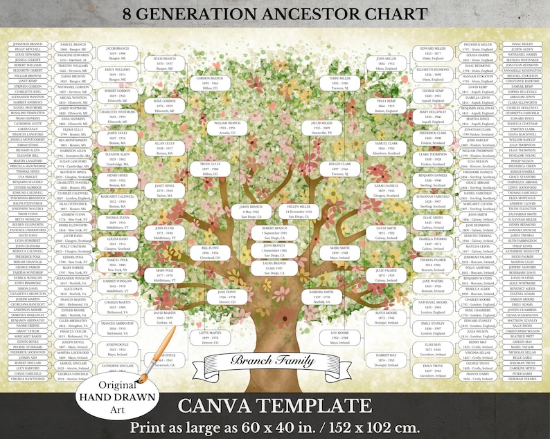 Large 8 Generation Family Tree ~ Genealogy Chart ~ Canva Template ...