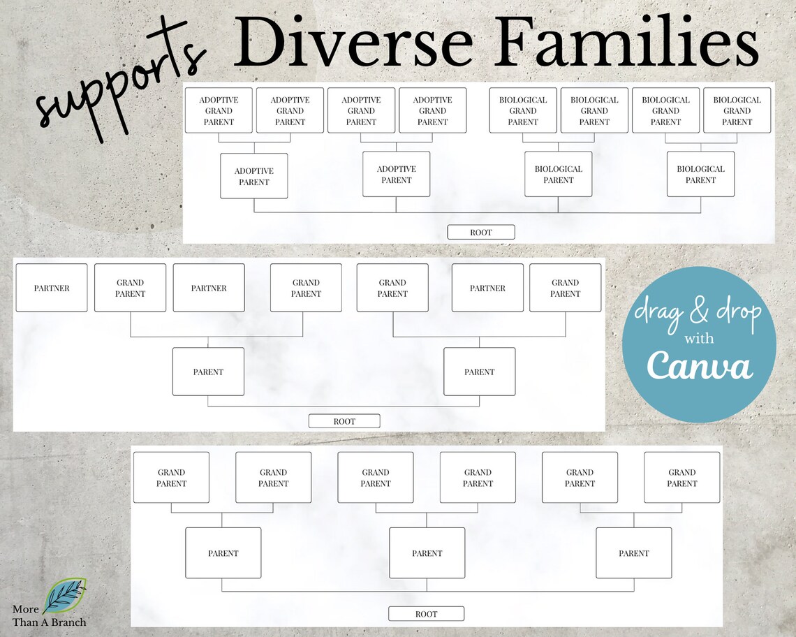 Hand Illustrated Family Tree 6 Generation Canva Template Genealogy ...