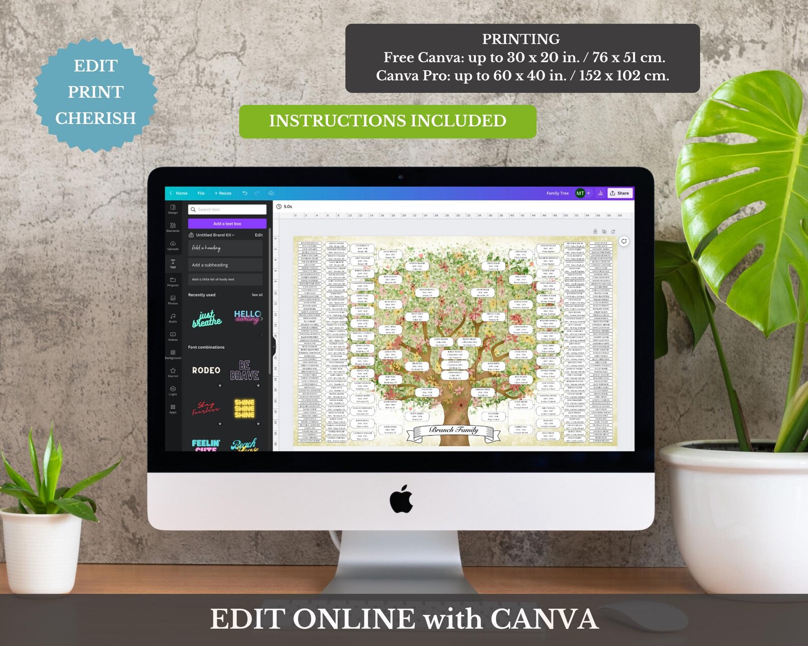 Large 8 Generation Family Tree ~ Genealogy Chart ~ Canva Template ...