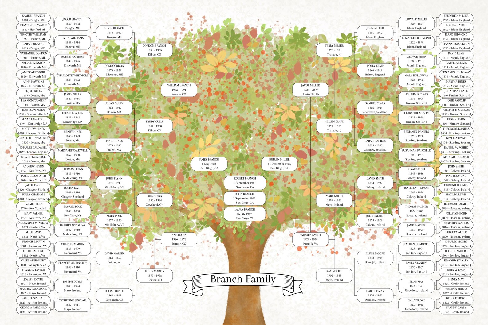 Editable Family Tree ~ 7 Generations Chart ~ Canva Template ~ RODA - Etsy