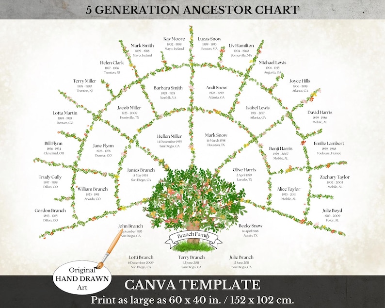 Family Tree Fan Chart Template ~ 5 Generations Pedigree ~ DIY Genealogy ...