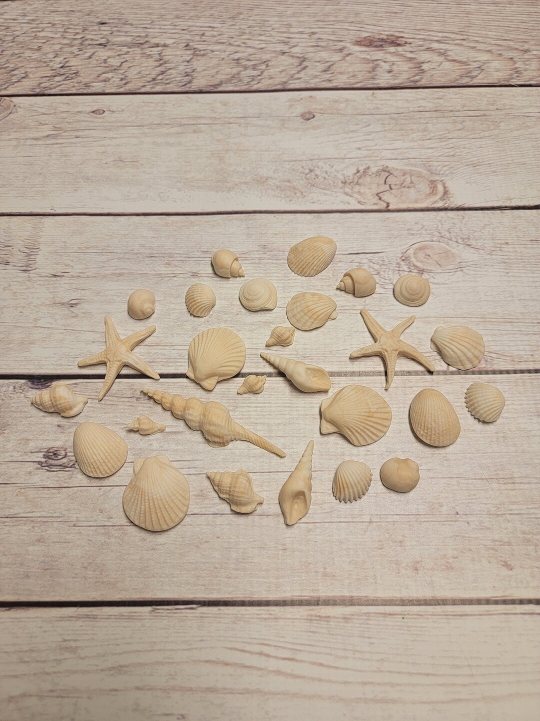 Fondant Shells - Natural Shells Cake Toppers - Seashell Cupcakes ...