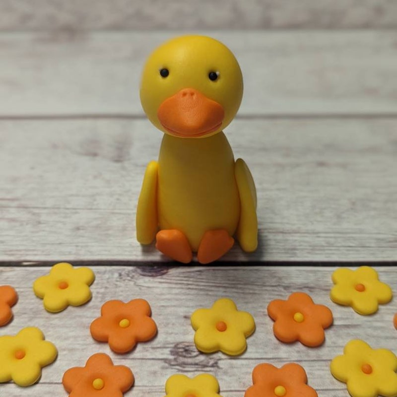 Duck Cake - Etsy