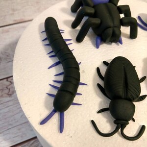 Fondant Bugs and Snakes - Fondant Spiders - Fondant Halloween Cake ...