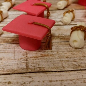 Pink Graduation Cap and Diploma Cake Toppers Set of 12 Graduation Cake ...