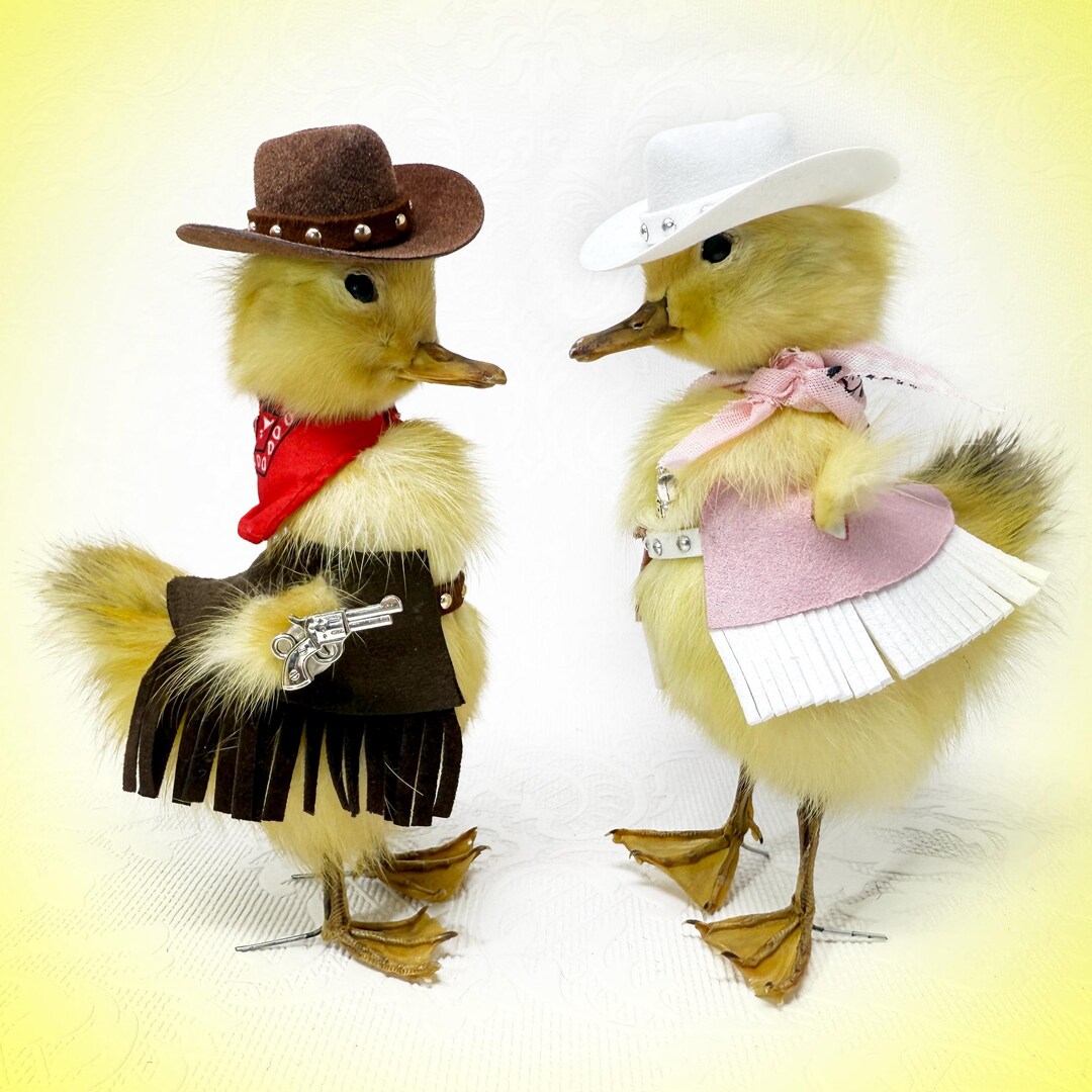 Cowboy Taxidermy Duck, Cowgirl, Fun White Elephant Gift, Housewarming ...