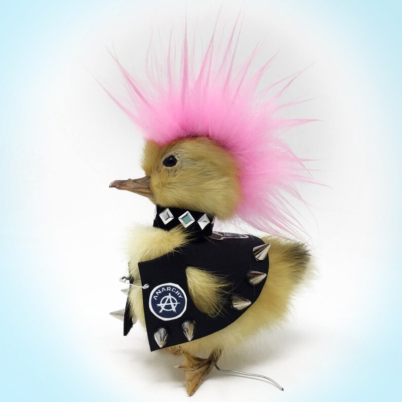 Using cyberduck to access your server space at home – MEDP 150