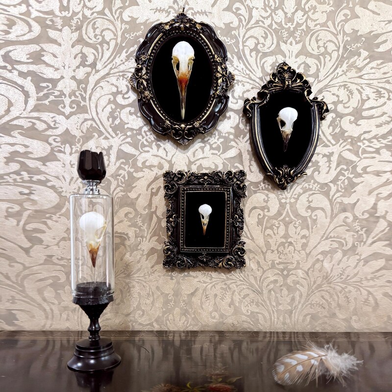 Skull Wall Decor - Etsy