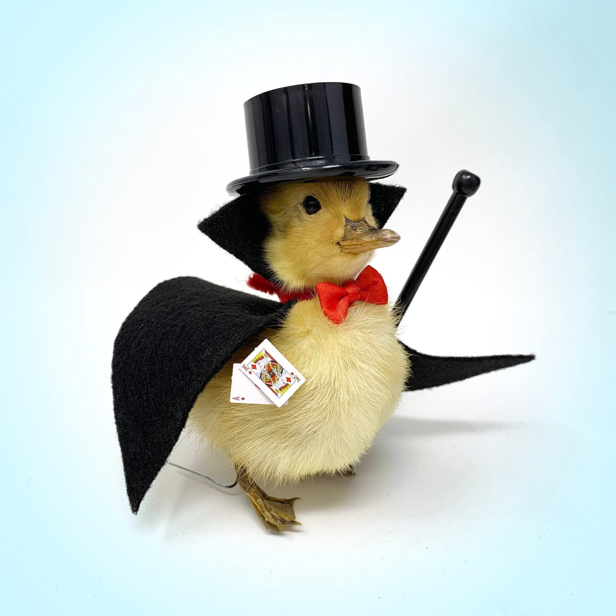 Animals Wearing Top Hats