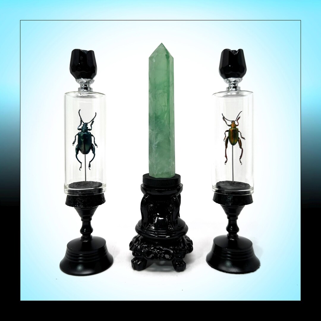 Fluorite Crystal Tower & Real Beetle Display: Goth Oddities Decor - Etsy