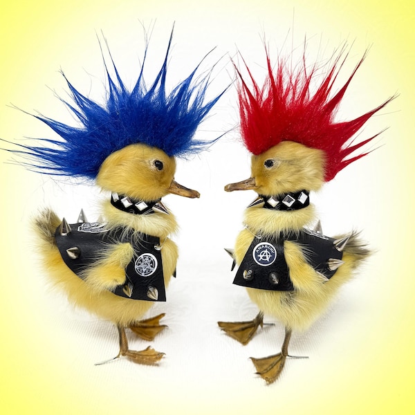 Weird Taxidermy - Etsy